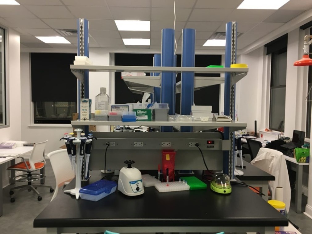 Celebrating a Decade at the Forefront of Molecular Detection: Biomeme’s ...